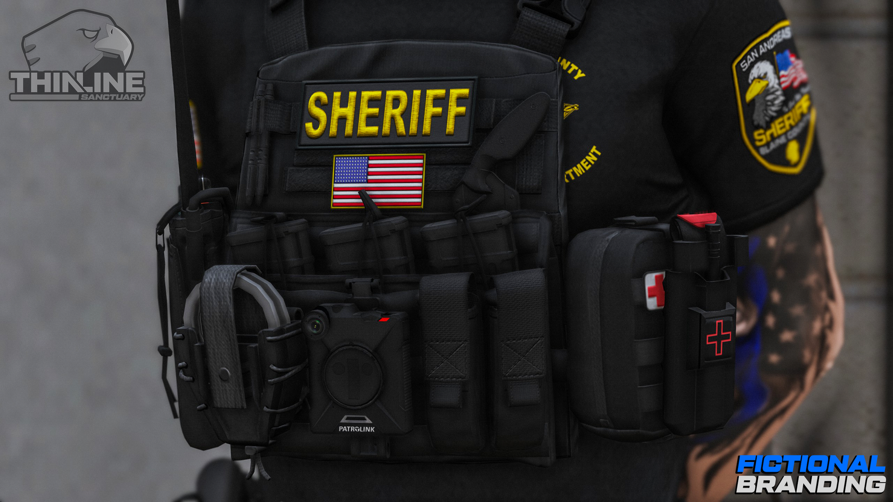Crye AVS Plate Carrier – ThinLineSanctuary