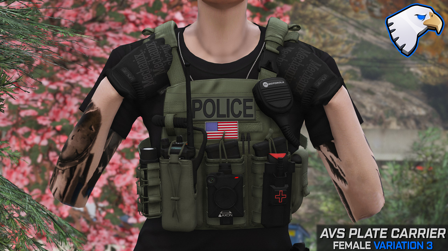 Crye AVS Plate Carrier: Female – ThinLineSanctuary