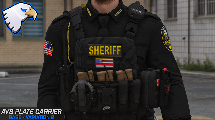 Crye AVS Plate Carrier – ThinLineSanctuary